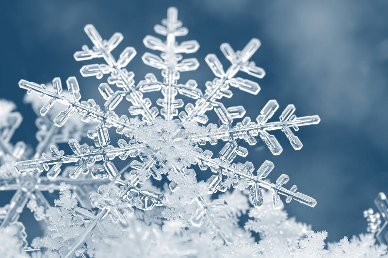 A Snowflake Under a Microscope in the Shape of a Six-pointed Star ...