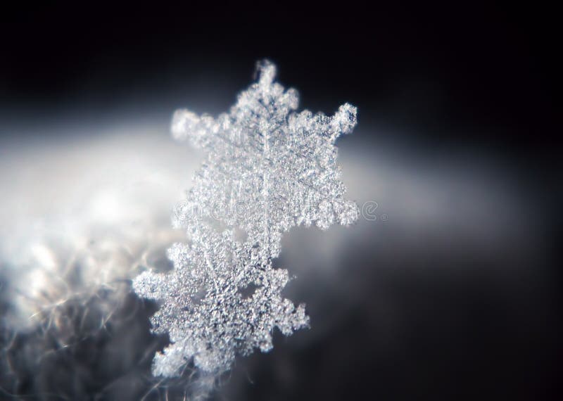Snowflake White and Shiny Star at Dark Night Macro Stock Image - Image ...