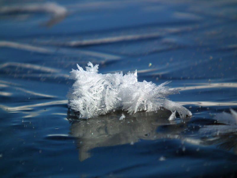 Snowflakes from the Blue Ice Stock Photo - Image of snow, antarctica ...
