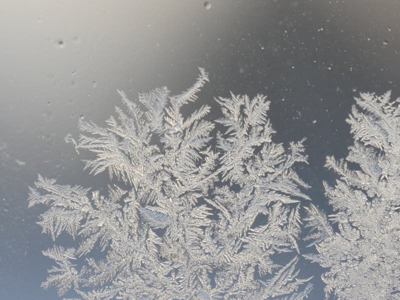 Snowflakes Extreme Close-up of Real Crystal Snowflake Stock Image ...