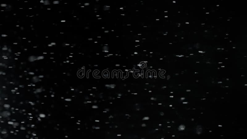 Snowflakes Falling Sideways To the Right in Front of a Black Screen ...