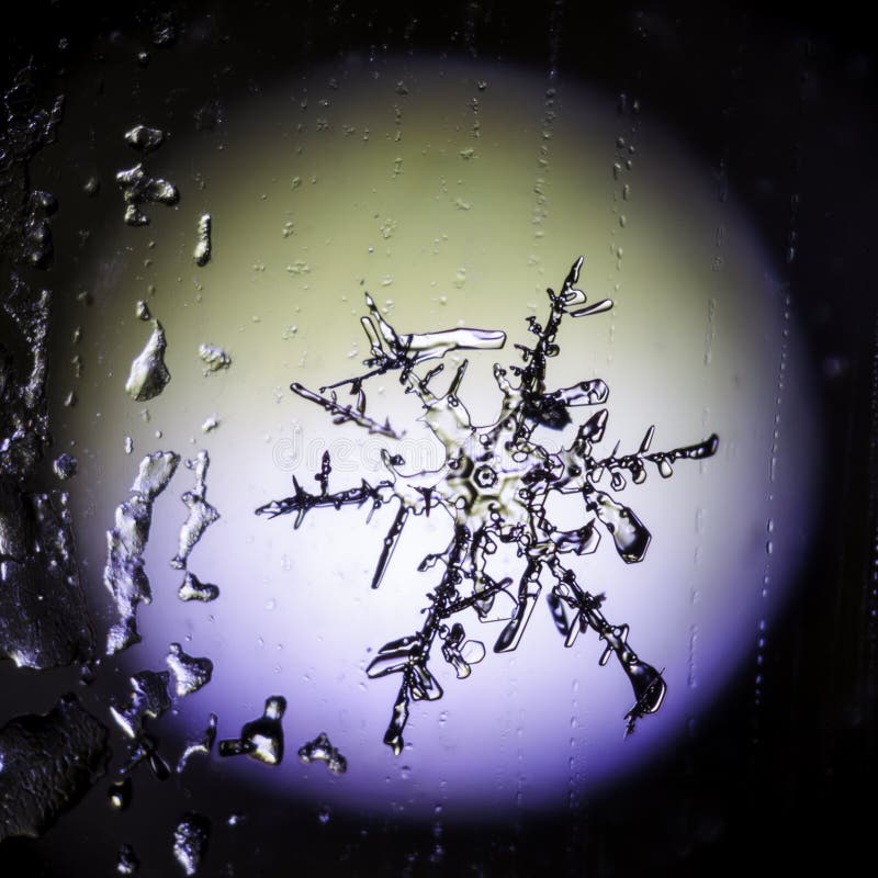 Snowflakes Floating in a Dusty Space. Stock Photo - Image of christmas ...