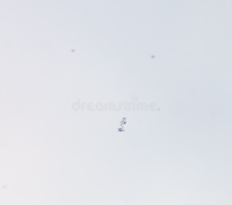 Snowflakes are Flying in the Air Stock Image - Image of blizzard ...