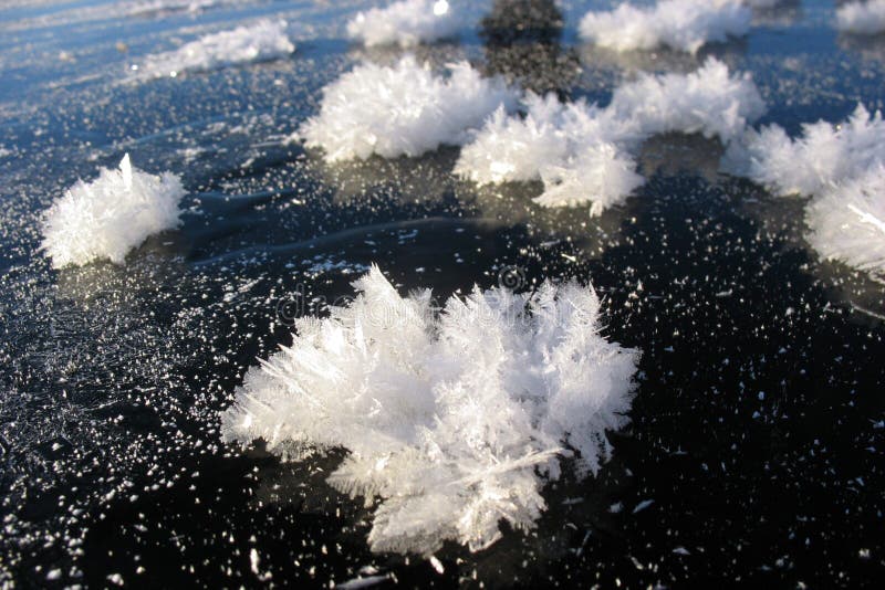 Snowflakes on ice stock image. Image of snow, frost, snowflake - 7448243