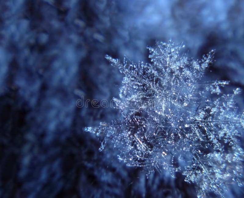 SNowflakes Mix from Ice at Blue Background Stock Photo - Image of frost ...