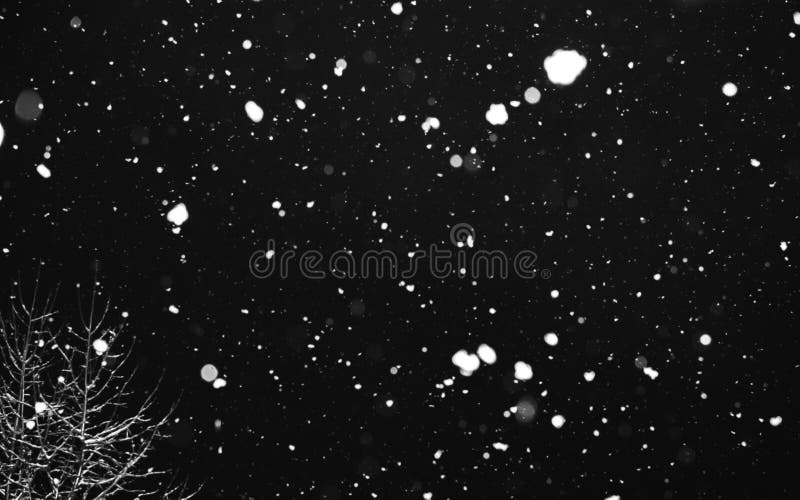 Snowflakes at night stock photo. Image of night, grain - 65508422