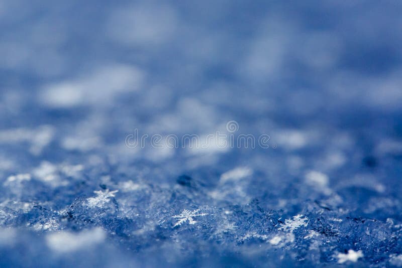 Snowflakes on a Snow Cover, Closeup Stock Image - Image of blanket ...