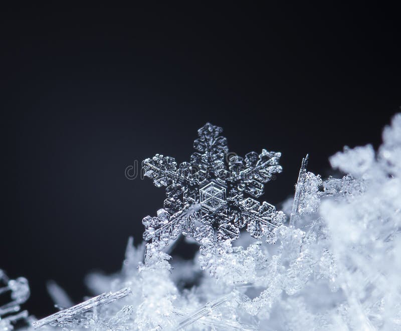 Snowflakes on snow stock photo. Image of frosted, real - 75569572