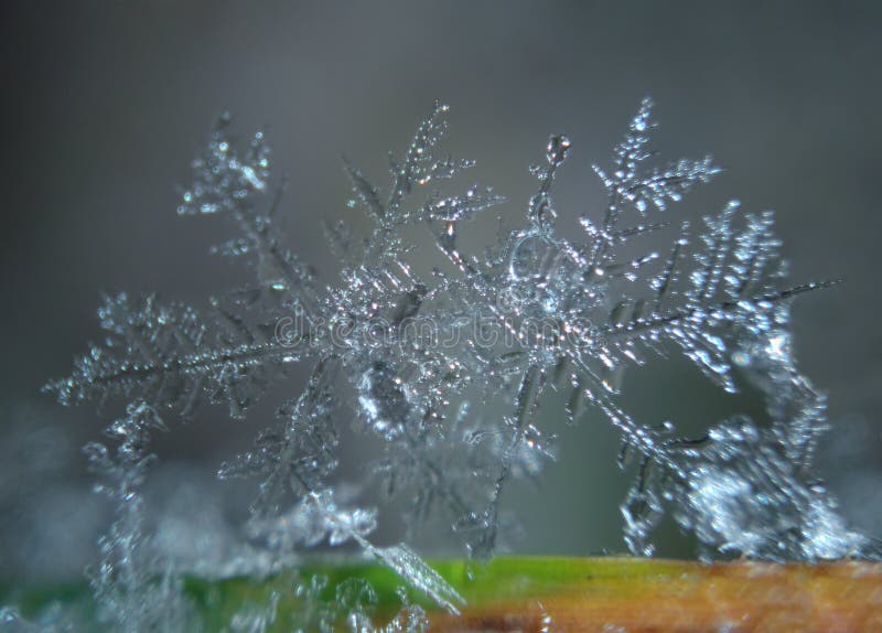 Snowflakes Together Couple of Lovers Stock Photo - Image of flakes ...
