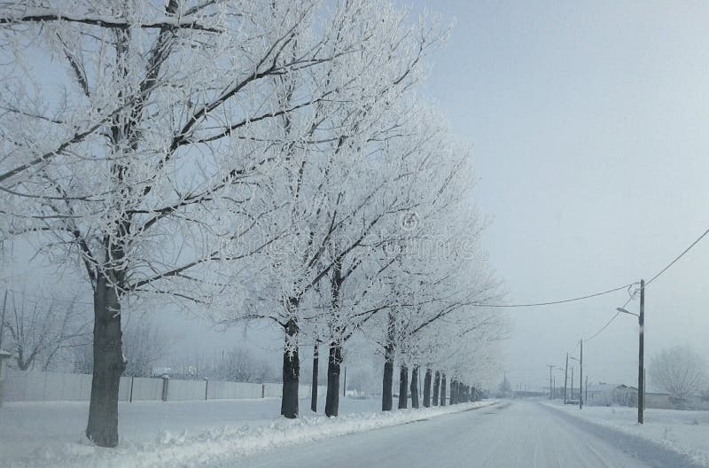 Road through the Snowie Mountains Stock Photo - Image of transfagarasan ...