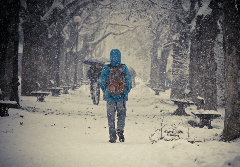 Snowing stock photo. Image of winter, snowing, season - 15781388