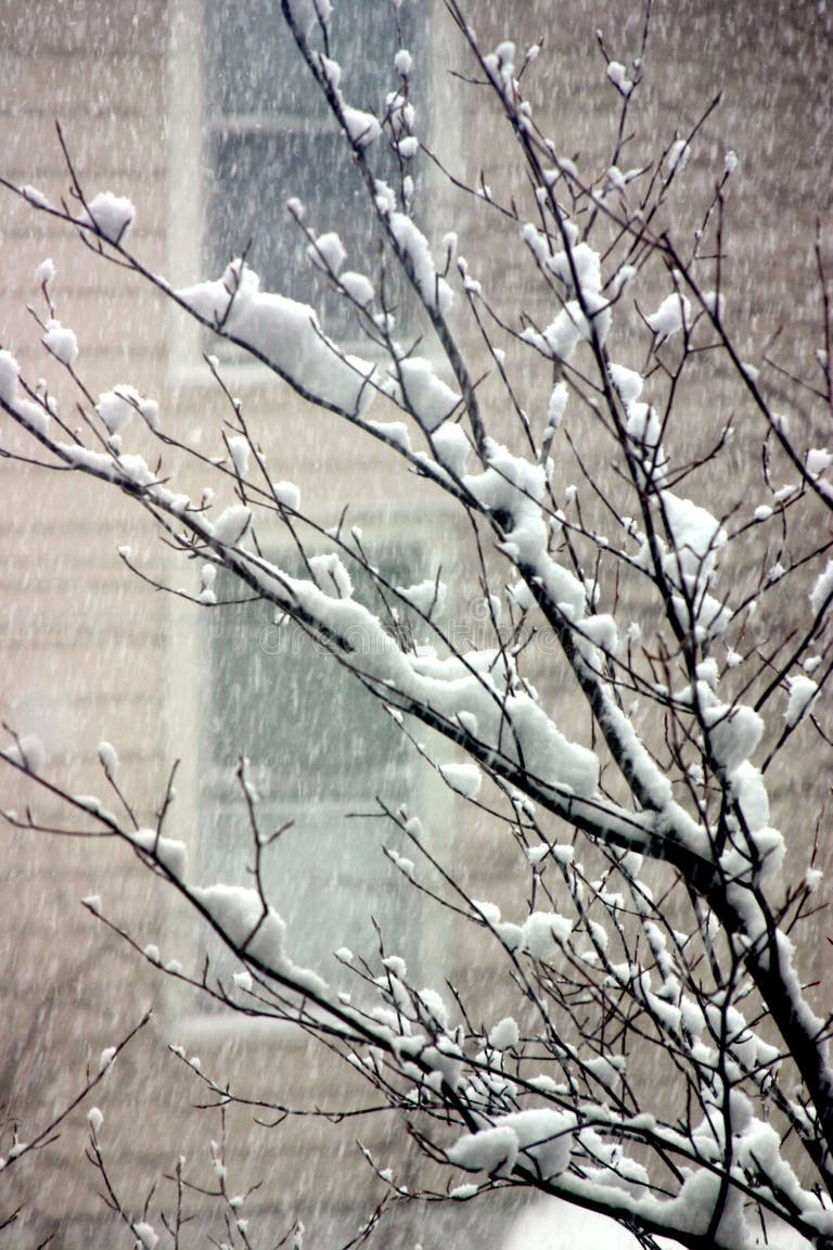 791 Snowing Outside Window Stock Photos - Free & Royalty-Free Stock ...
