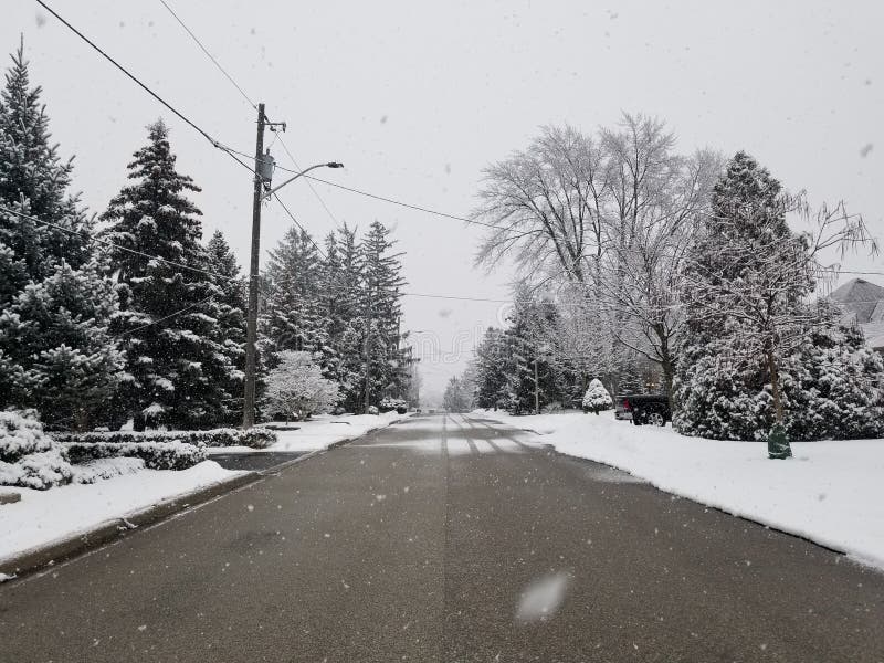 Snowing Snowing Snowing stock photo. Image of snow, tree - 243169328