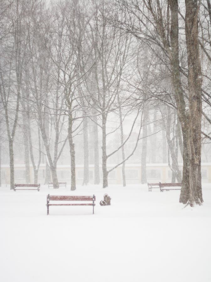 Snowing stock photo. Image of cold, seasonal, morning - 6912270