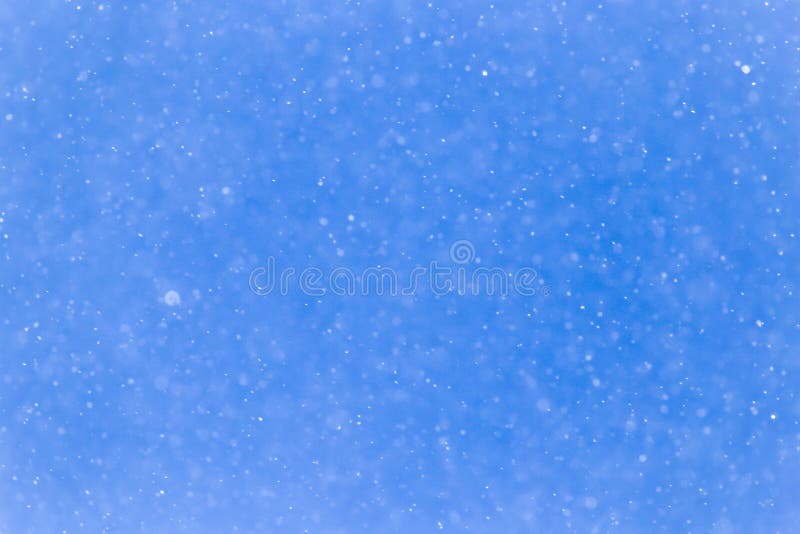 Winter footpaths stock photo. Image of road, forests - 17179014