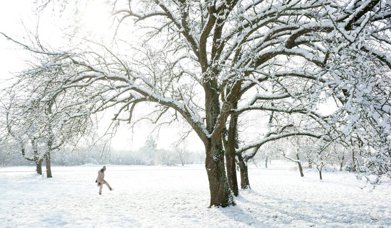 Snowing Countryside White Fields Trees Person Walking Stock Image ...
