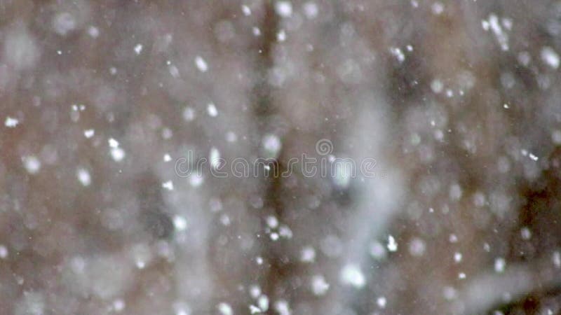 Snowing Day in Focus, High Blur Stock Footage - Video of high, focus ...