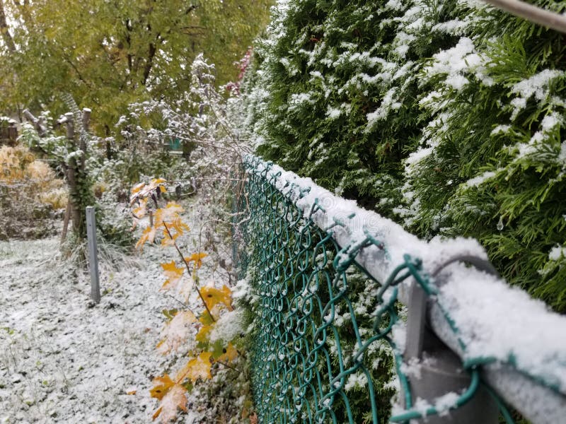 Snowing in early November stock photo. Image of classes - 166520788