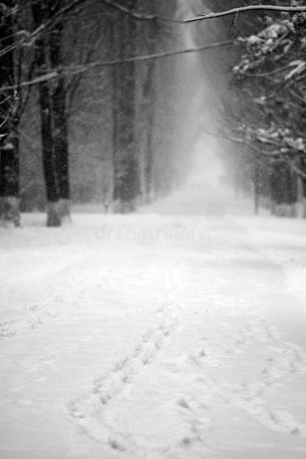 Snowing Landscape in the Park Stock Photo - Image of scene, landscape ...