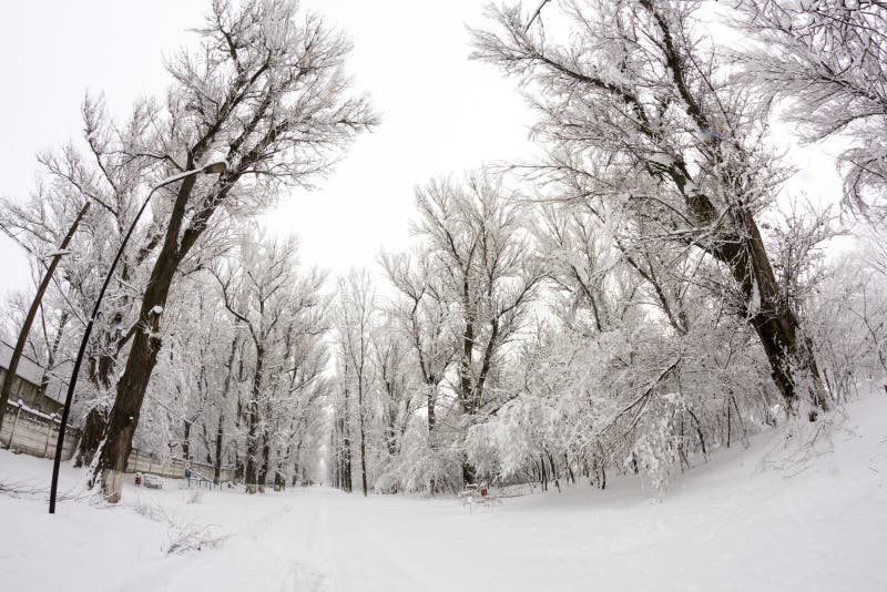 Snowing Landscape in the Park Stock Image - Image of background ...