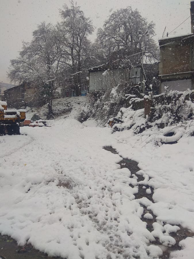 Batote Stock Photos - Free & Royalty-Free Stock Photos from Dreamstime