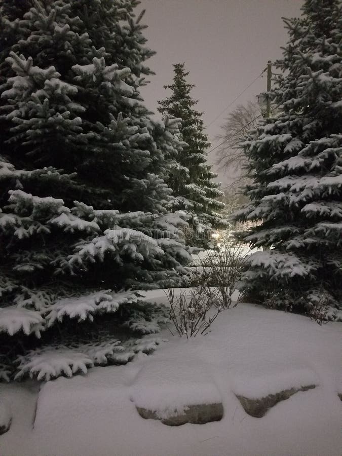 Snowing at Night in Mid January Stock Image - Image of january, night ...