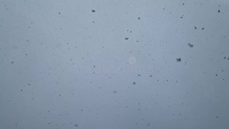 Snowing Scene with Snowflakes Falling Down from the Sky. Winter ...