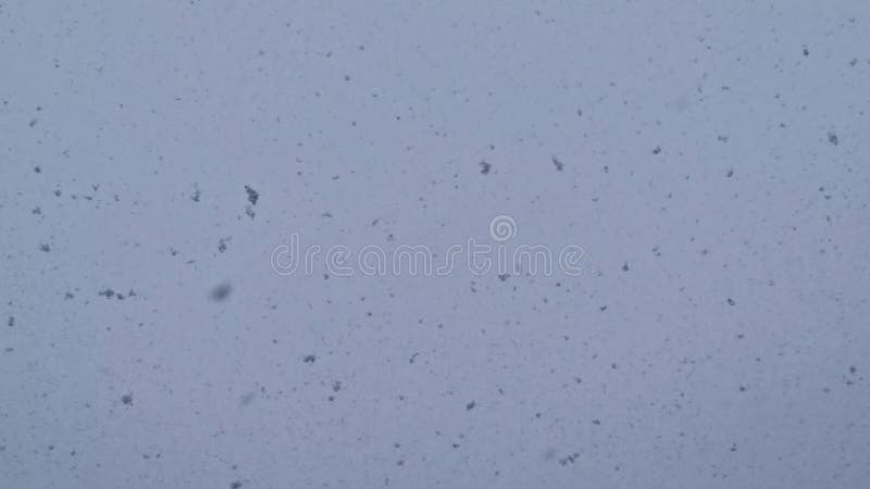 Snowing Scene with Snowflakes Falling Down from the Sky. Winter ...