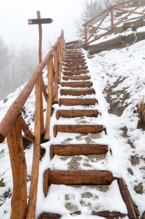 Snowing stairs stock image. Image of environment, forl - 29138887