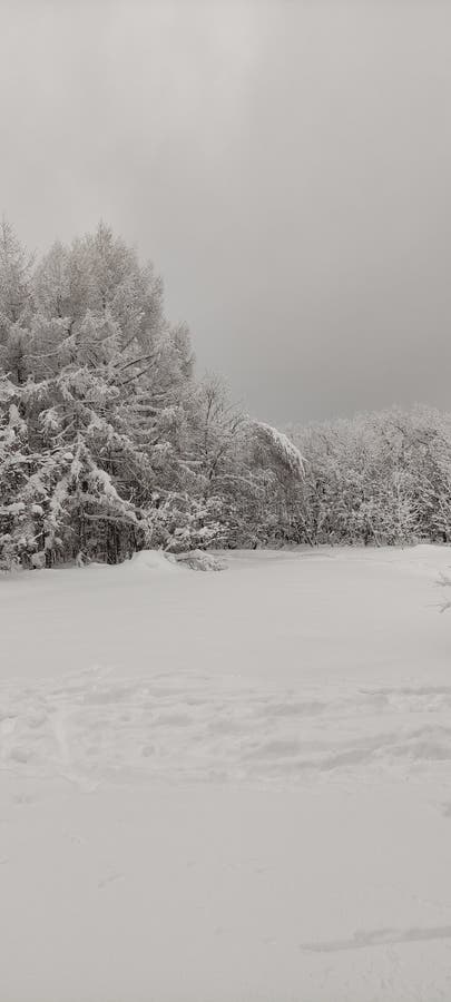 Snowing Winter.. Not so Cold& X29; Stock Image - Image of snow, morning ...