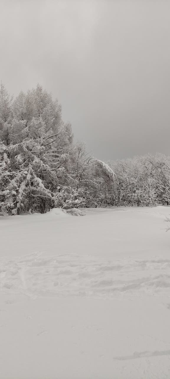 Snowing Winter.. Not so Cold& X29; Stock Image - Image of snow, morning ...