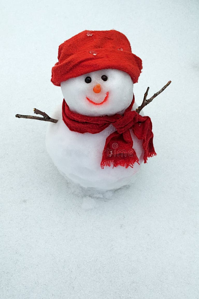 631 Real Snowman Stock Photos - Free & Royalty-Free Stock Photos from ...