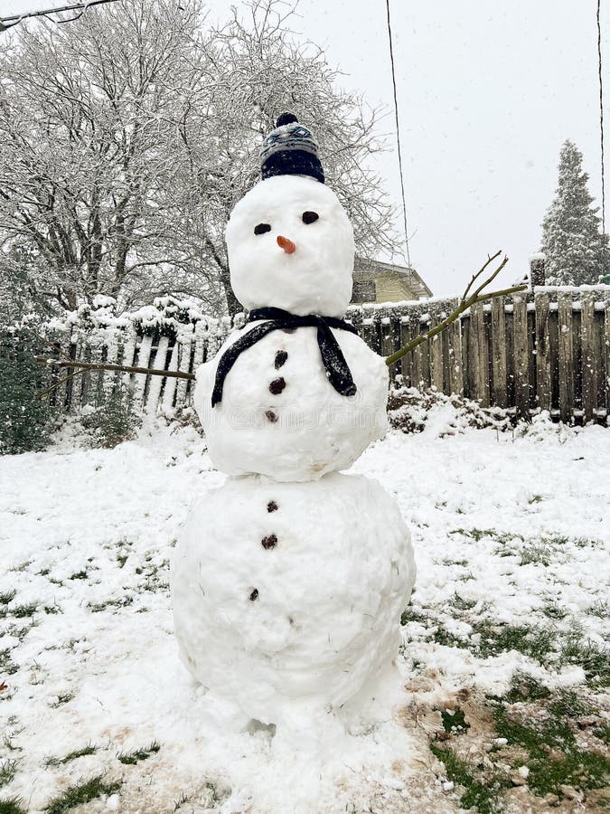Snowman in the Backyard during Winter Stock Photo - Image of outdoors ...