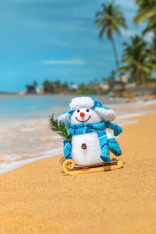 1,135 Snowman Beach Photos - Free & Royalty-Free Stock Photos from ...
