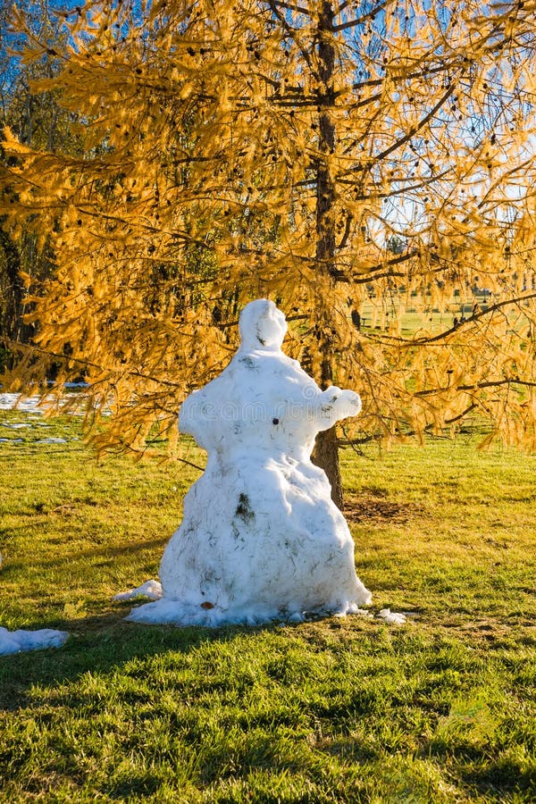 Snowman behind larch tree stock photo. Image of sunshine - 82388946
