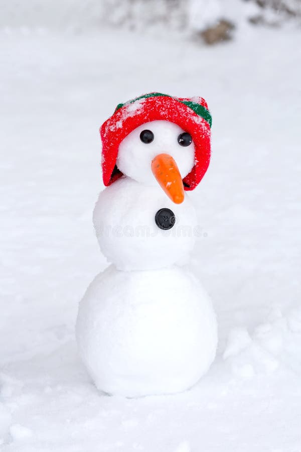 Snowman Dressed with Red Scarf and Hat in the Snow Outside Under the ...