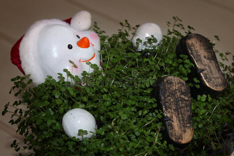Snowman in Green Plant stock image. Image of cute, snowman - 124838327
