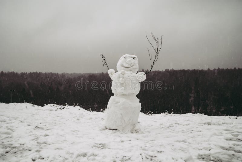 Snowman with Hands Made of Branches during a Snowfall on a Forest ...