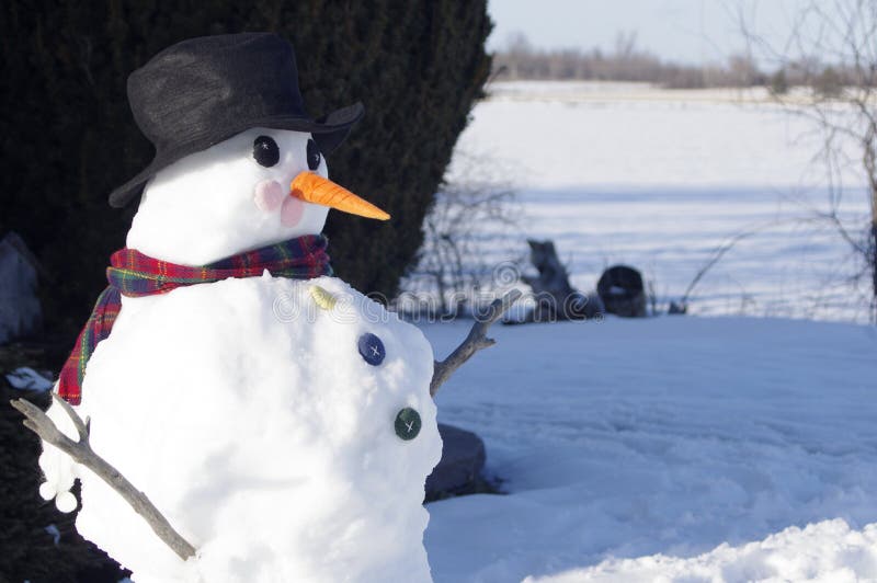 Snowman stock photo. Image of snowball, country, profile - 89523518