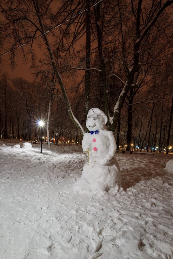 Snowman at night park stock photo. Image of snowman - 186863676