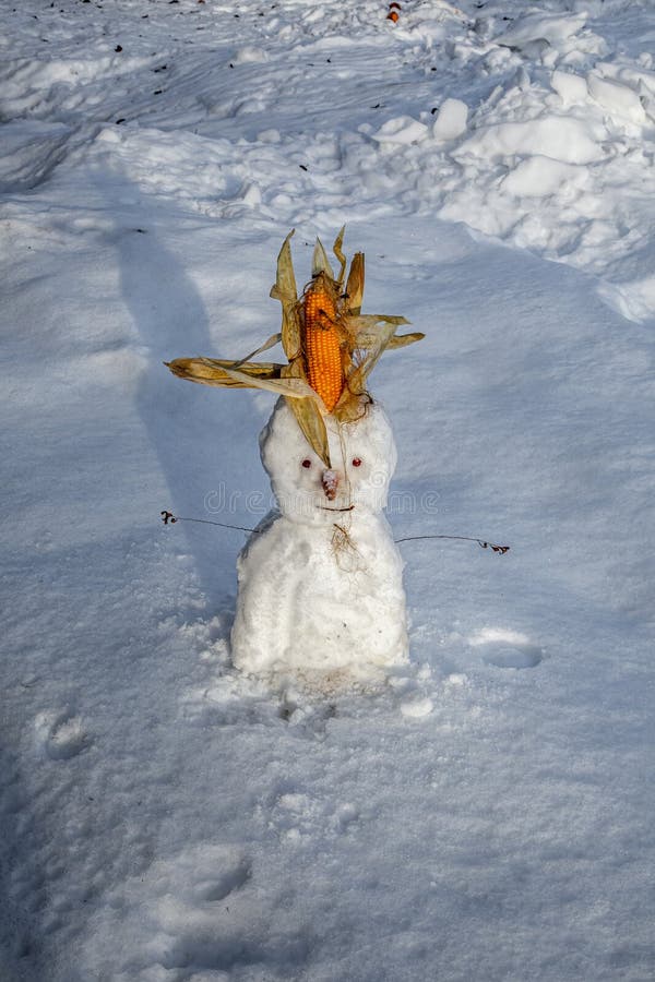 Snowman with Orange Carrot Nose and Red Cherry Eyes and Corn Hat Stock ...
