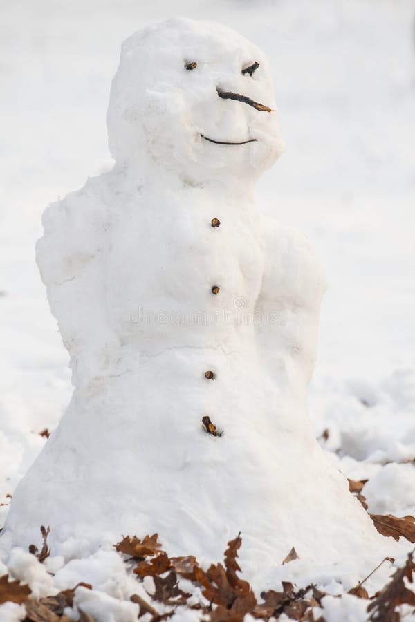 Snowman in the park. stock photo. Image of games, snowman - 65124066