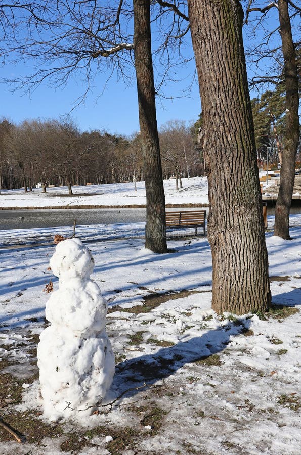 Snowman in the Park Winter Time Stock Image - Image of trunk, pone ...