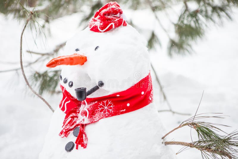 Snowman with a Pipe stock image. Image of outdoors, frost - 28453263