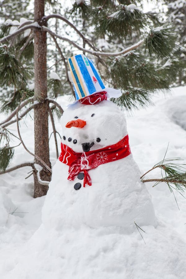 Snowman with a Pipe stock photo. Image of frozen, christmas - 28453282