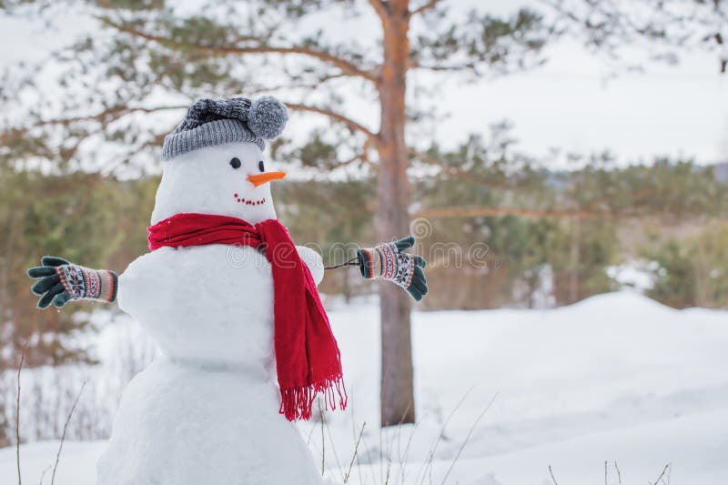 Snowman in Red Scarf in Forest Stock Image - Image of happy, beautiful ...