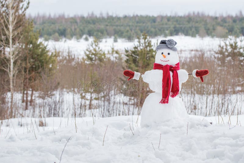 Snowman in Red Scarf in Forest Stock Image - Image of nonurban ...