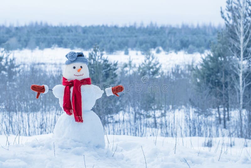 Snowman in Red Scarf in Forest Stock Photo - Image of pine, closeup ...