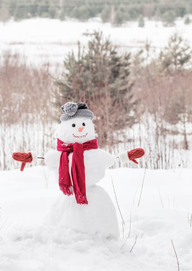 Snowman in Red Scarf in Forest Stock Image - Image of design, greeting ...