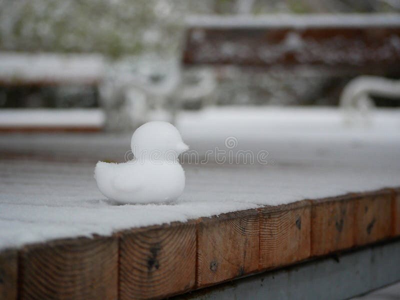Snowman in the Shape of Ducks. Duck Made of Snow Stand on a Park Bench ...